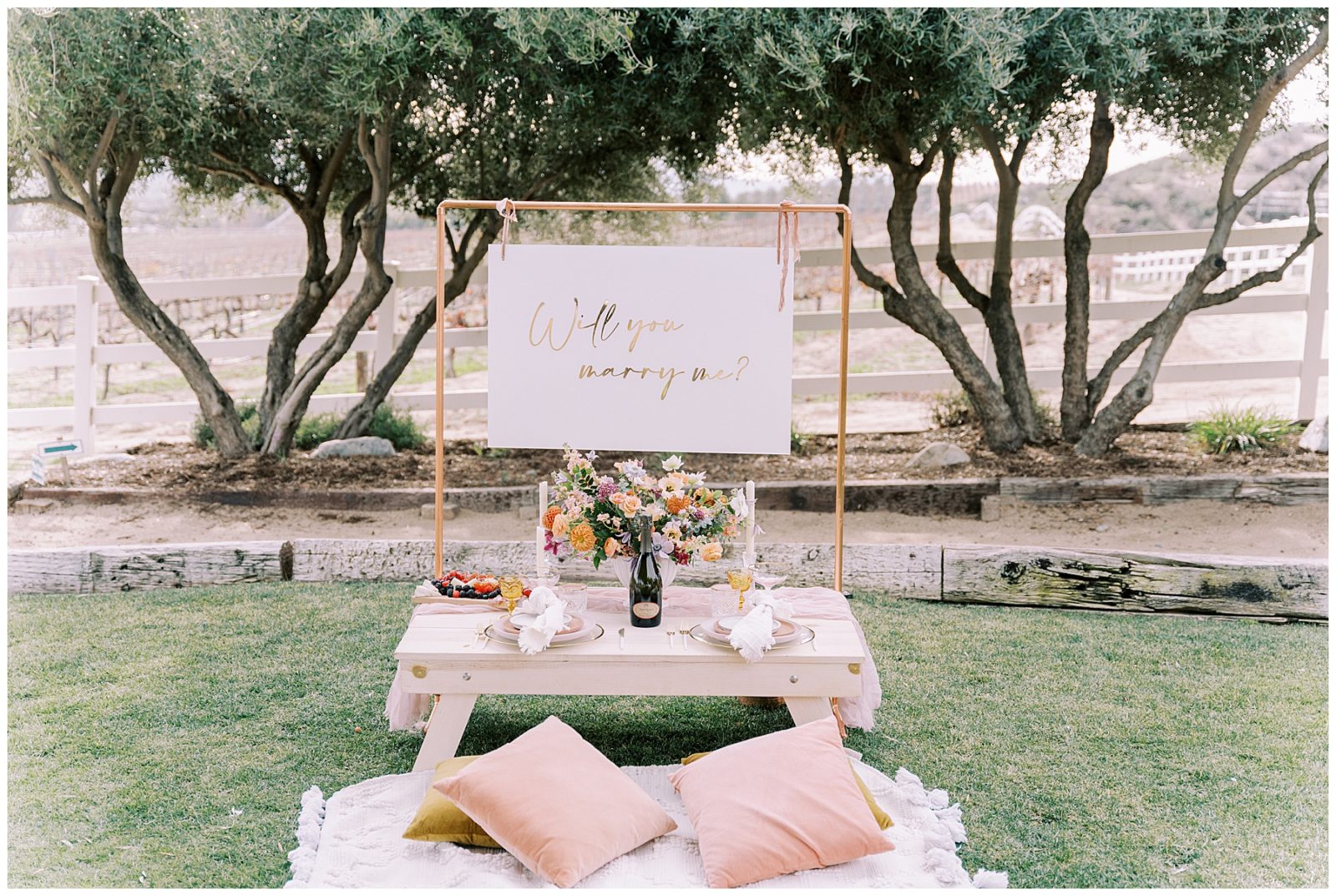 Pastel Temecula Wine country proposal with family and friends ...